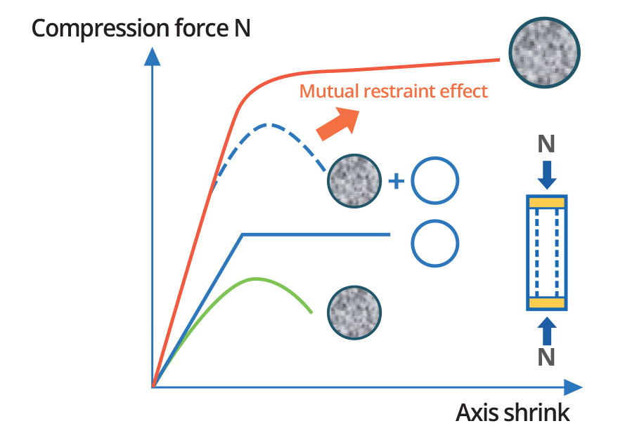 Concrete-filled Tube - constructsteel.org